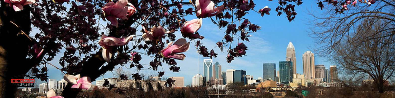 How to Thrive in Charlotte's Spring Real Estate Scene | Henderson ...